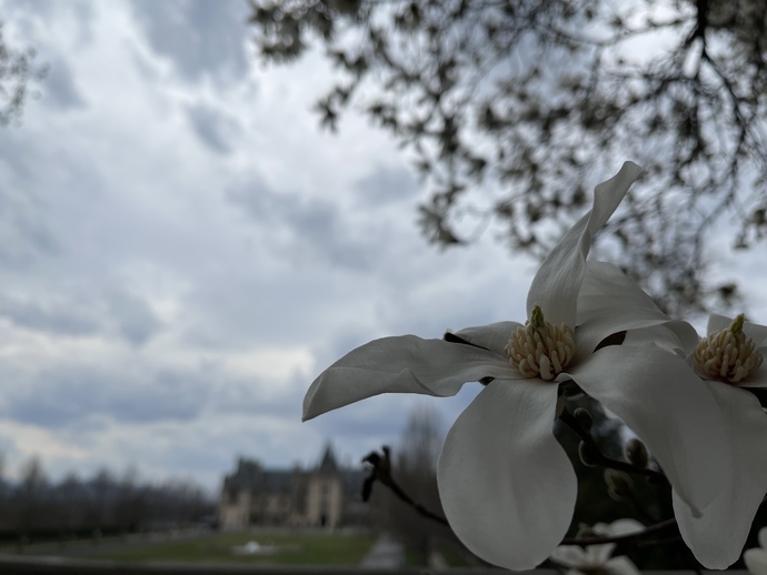 Sermons | Unity of Charlottesville